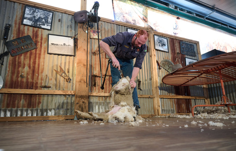 Education Competitions